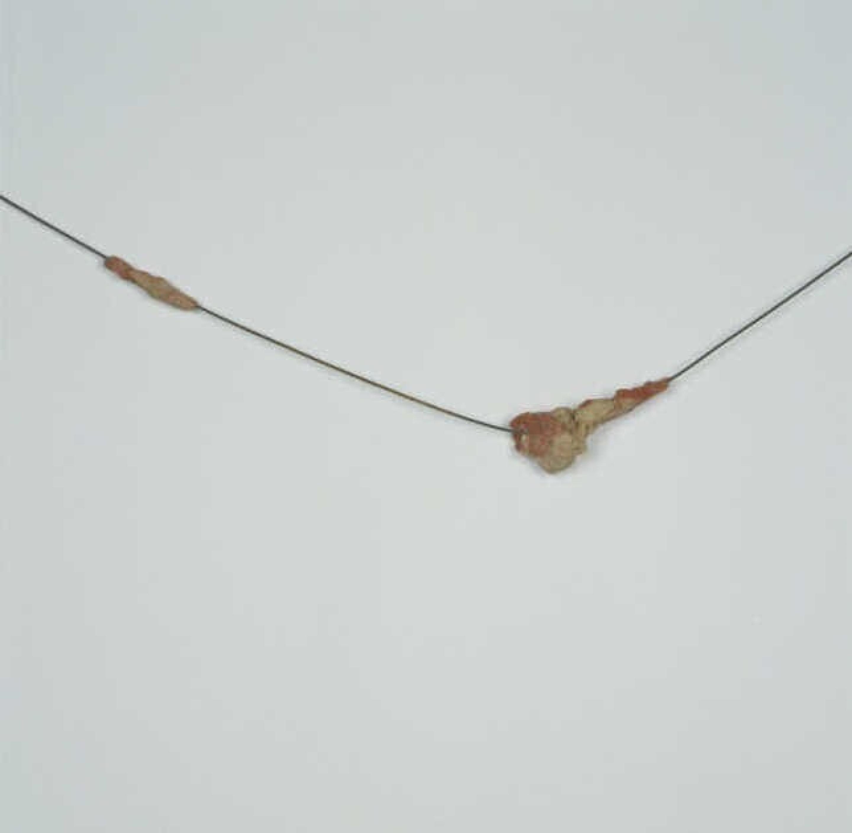 Meat Cable (Vleeskabel) - Museum Boijmans Van Beuningen