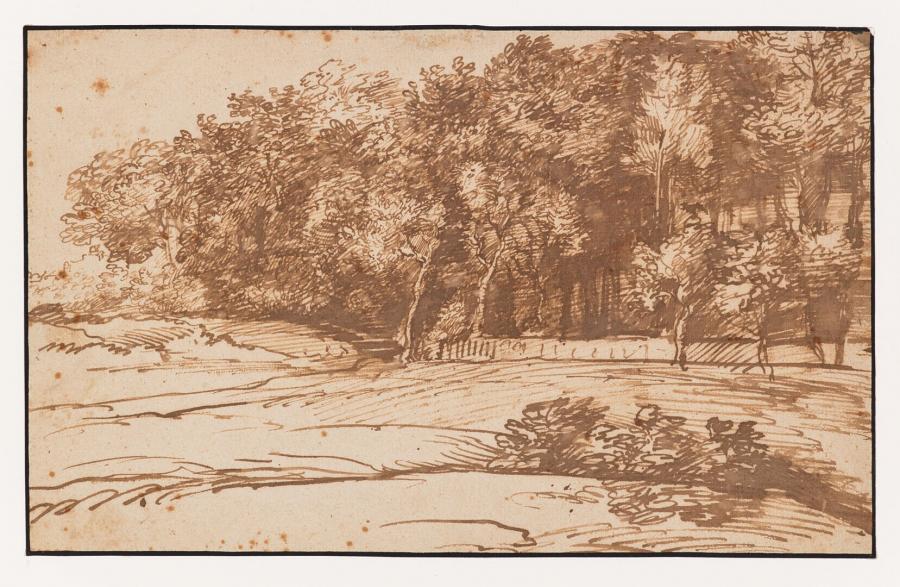 Bosrand - Museum Boijmans Van Beuningen